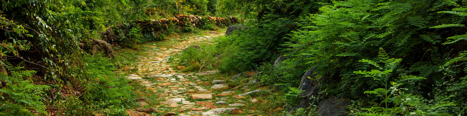 Abiding - The North Region of the Episcopal Diocese of Texas