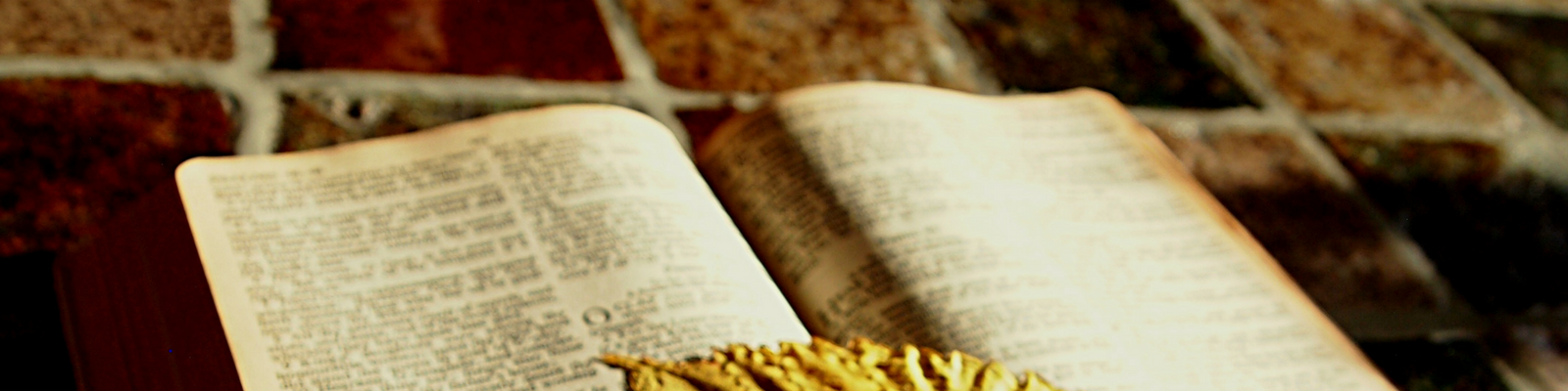 Scripture texts and study tools - The North Region of the Episcopal ...